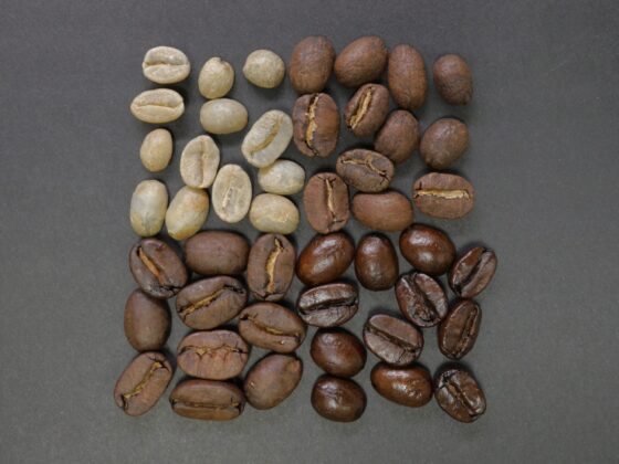 What Are The Main Types Of Coffee Beans And What's The Difference ...